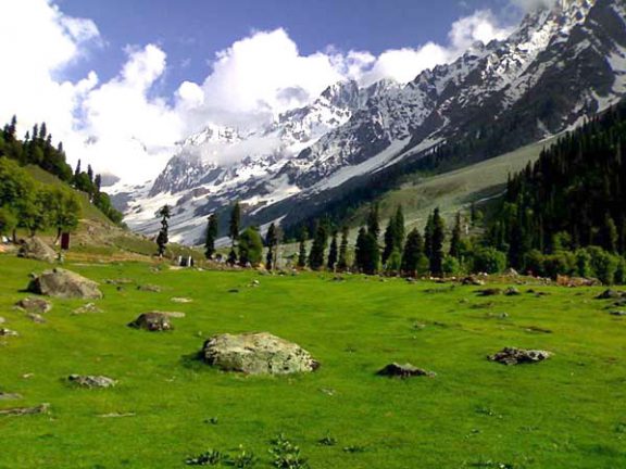 Doodhpathri in Kashmir - Ynorme