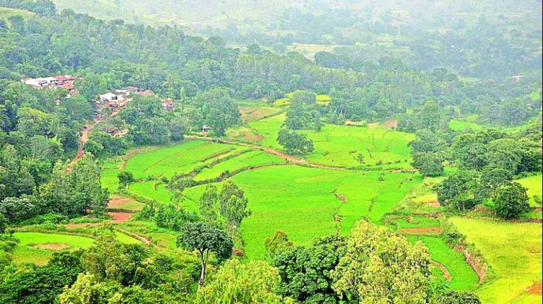 Borra caves - Ynorme